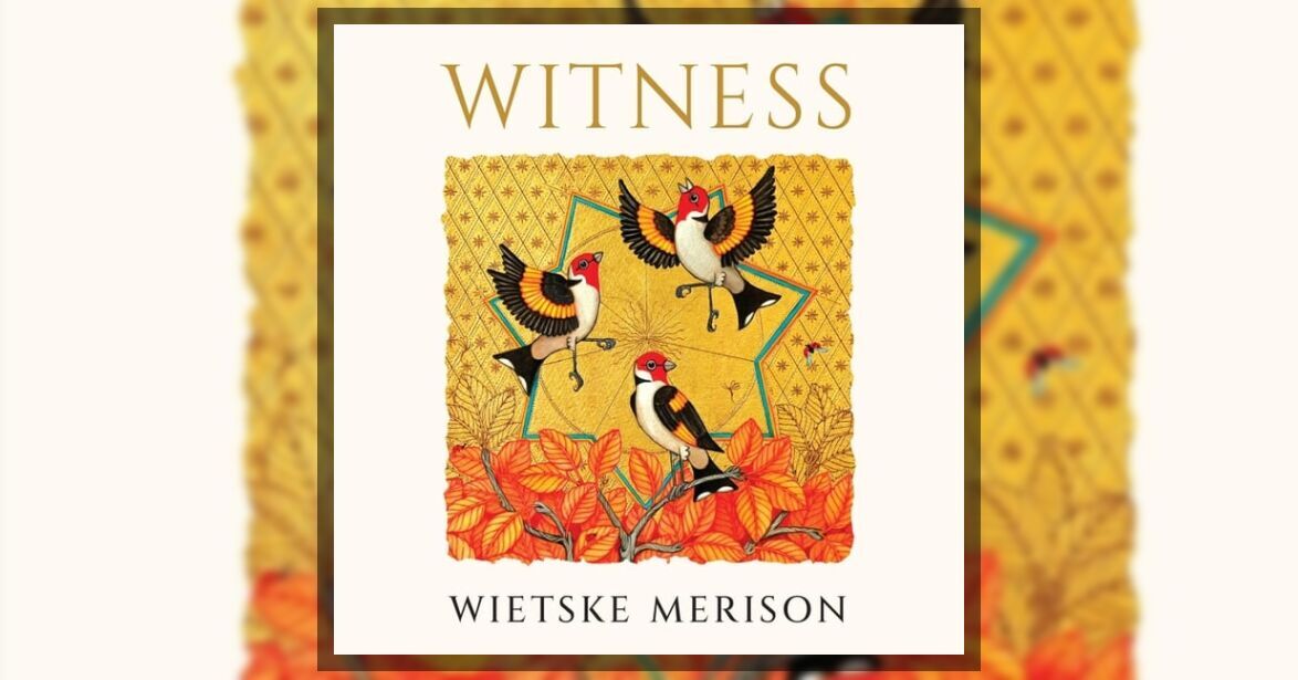 Wietske Merison - Witness