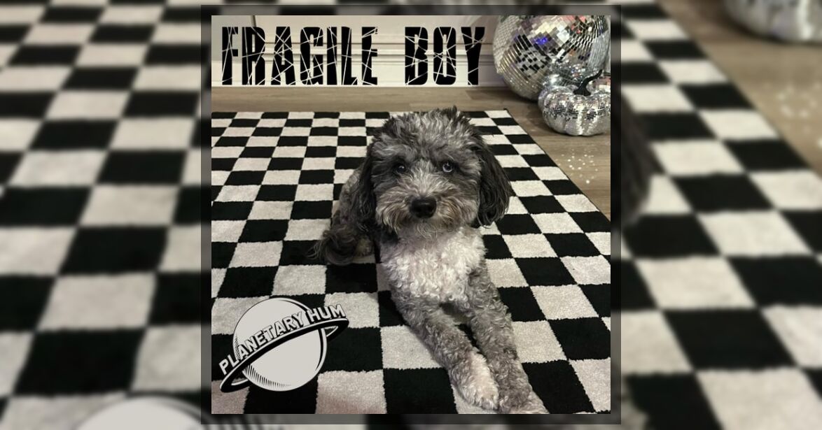 Planetary Hum - Fragile Boy