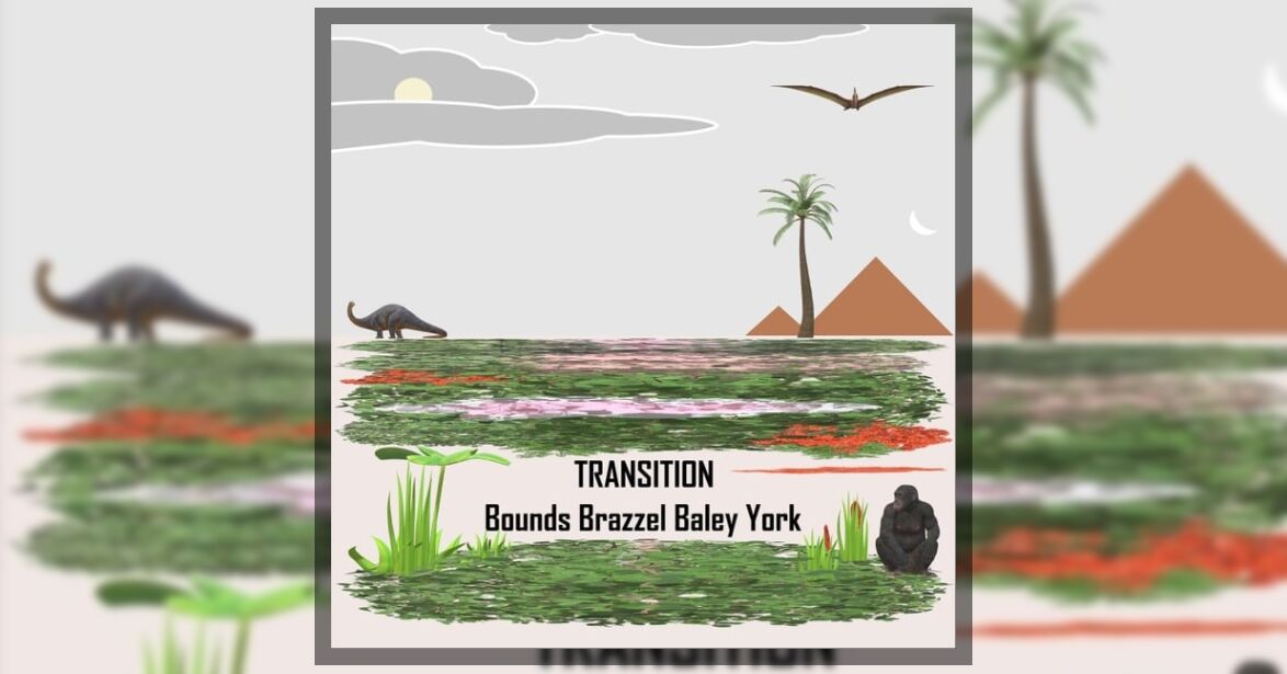 Bounds Brazzel Baley York - Transition